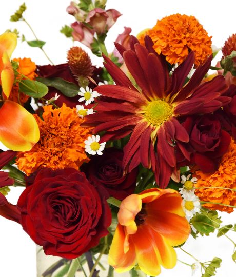 5 of Our Favorite Flowers for Fall & The English Garden